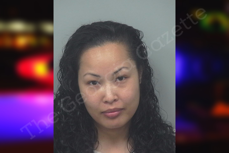 Lisa Wiley — Gwinnett County Jail Bookings