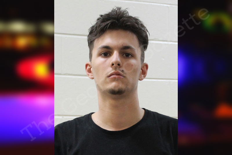 Dylan Willingham — Houston County Jail Bookings