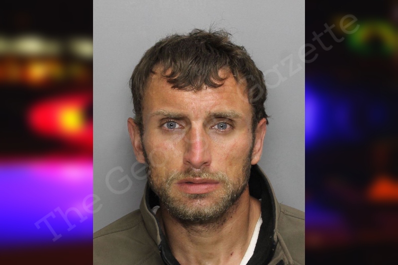 Tyler Bauer — Cobb County Jail Bookings