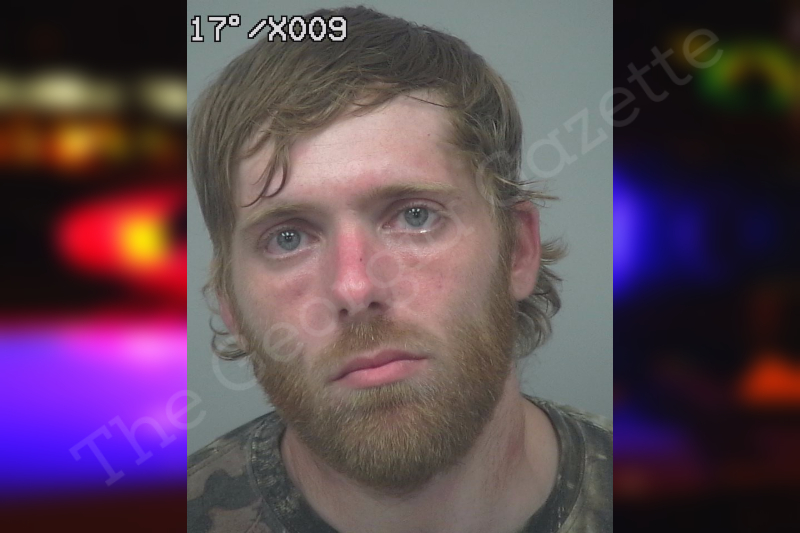 Dustin Blevins — Gwinnett County Jail Bookings