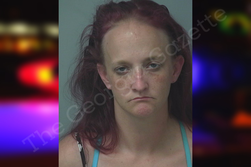 Jessica Brownlow — Gwinnett County Jail Bookings
