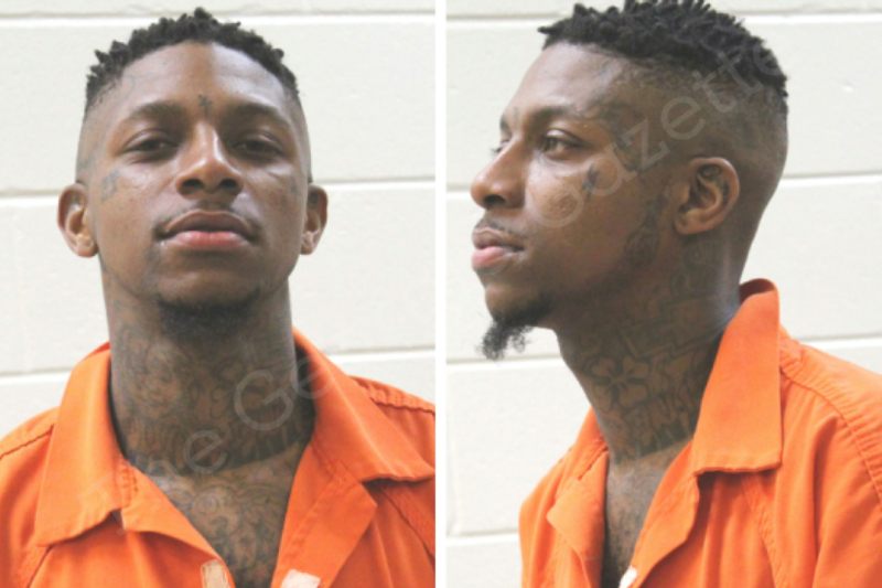 Major Bailey — Houston County Jail Bookings