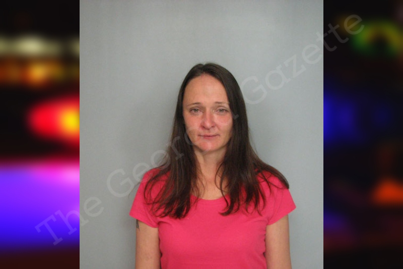 Crystal Castleberry — Hall County Jail Bookings