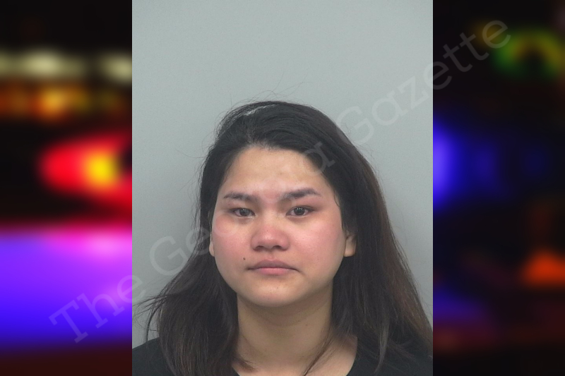 Mang Cing — Gwinnett County Jail Bookings