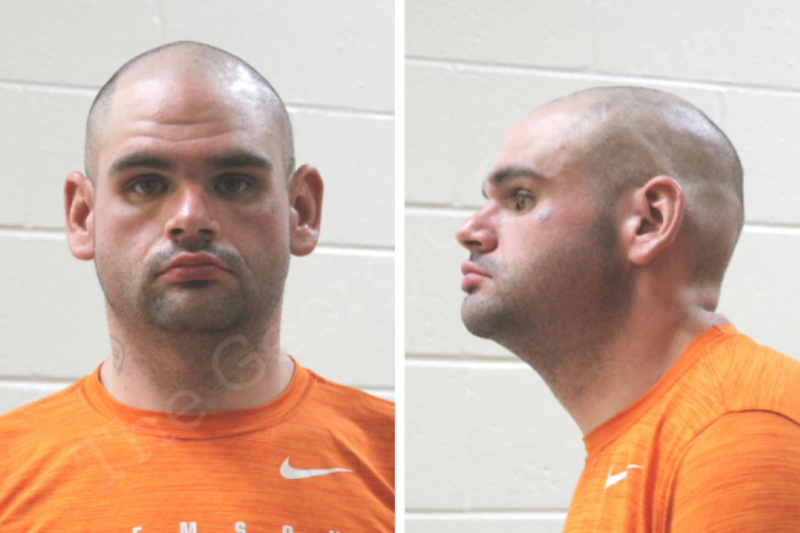 Shawn Chapman — Houston County Jail Bookings