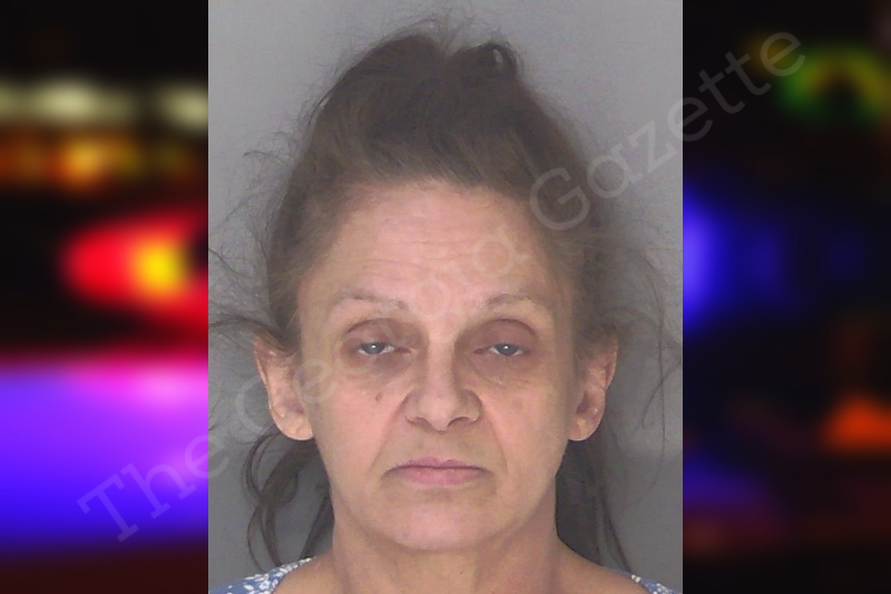 Shari Floyd — Douglas County Jail Bookings