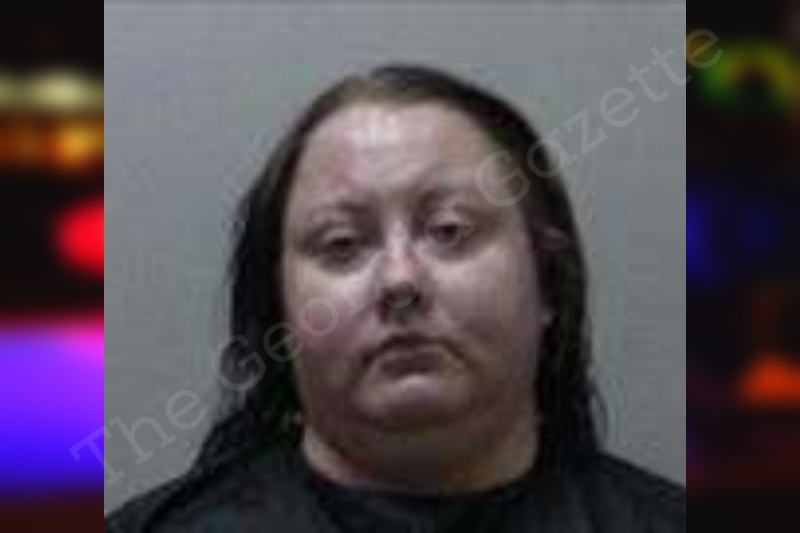 Megan Frady — Habersham County Jail Bookings