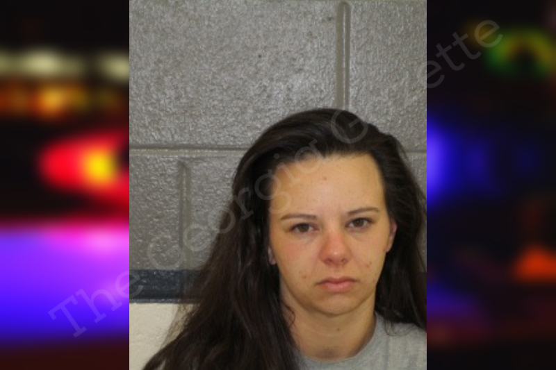Haley Rogers — Banks County Jail Bookings