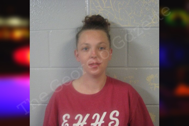 Tabitha Hamby — Hall County Jail Bookings