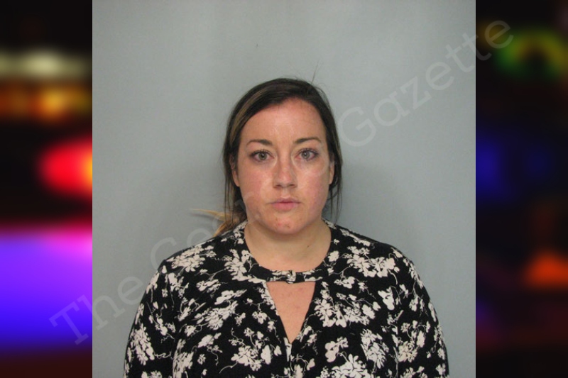 Alexis Hays — Hall County Jail Bookings