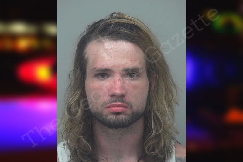 Morgan Helms — Gwinnett County Jail Bookings