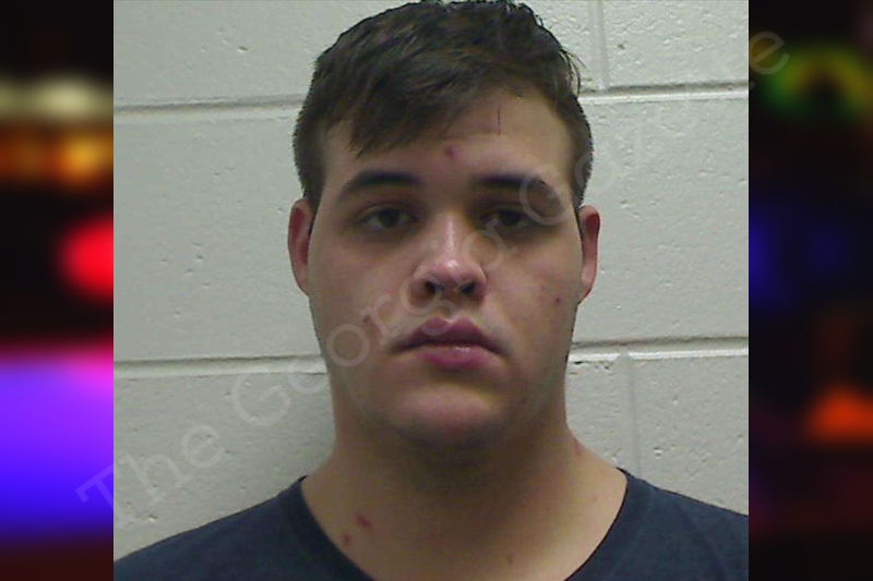 Austin Hernandez | Bulloch County