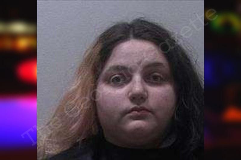 Ashleigh Hightower — Habersham County Jail Bookings