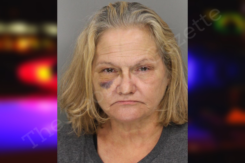 Lisa Howell — Cobb County Jail Bookings