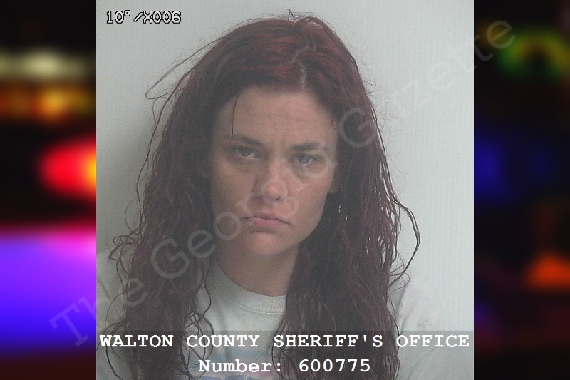 Rebekah Knight — Walton County Jail Bookings