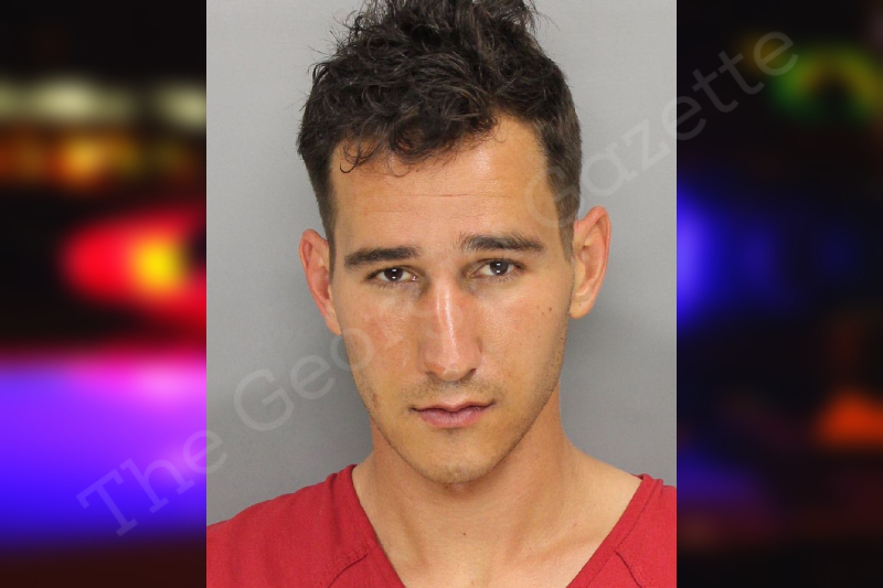 Austin Lanz — Cobb County Jail Bookings