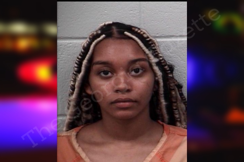 Ericka Lee — Paulding County Jail Bookings