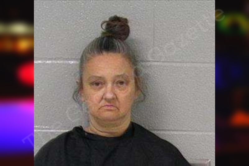 Kelly Lewallen — Carroll County Jail Bookings