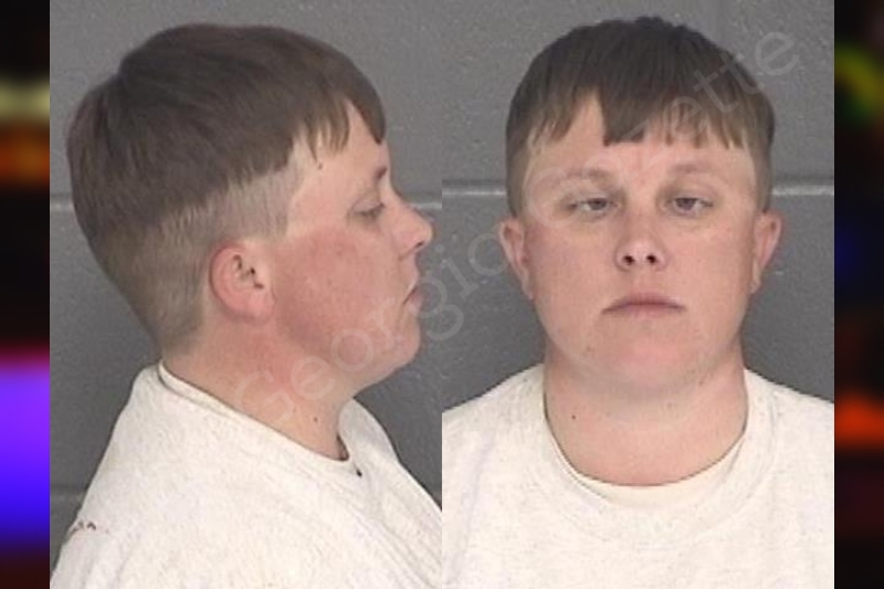 Crystal Loftin — Barrow County Jail Bookings