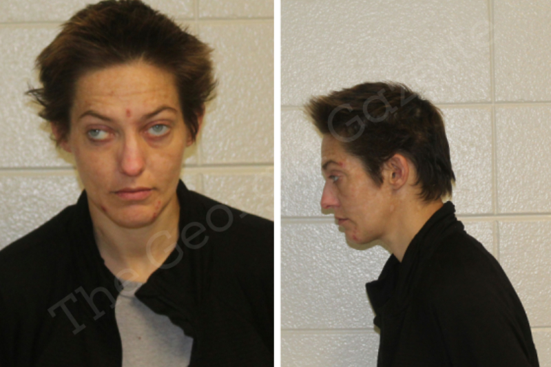 Mandy Neal — Houston County Jail Bookings