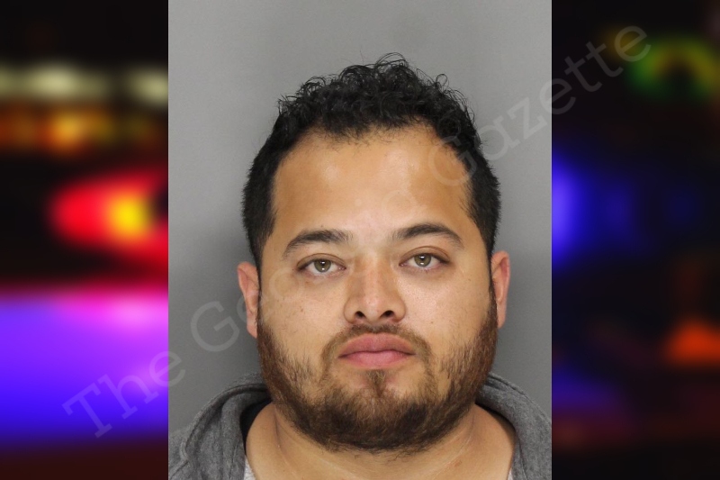 Louis Ramirez — Cobb County Jail Bookings