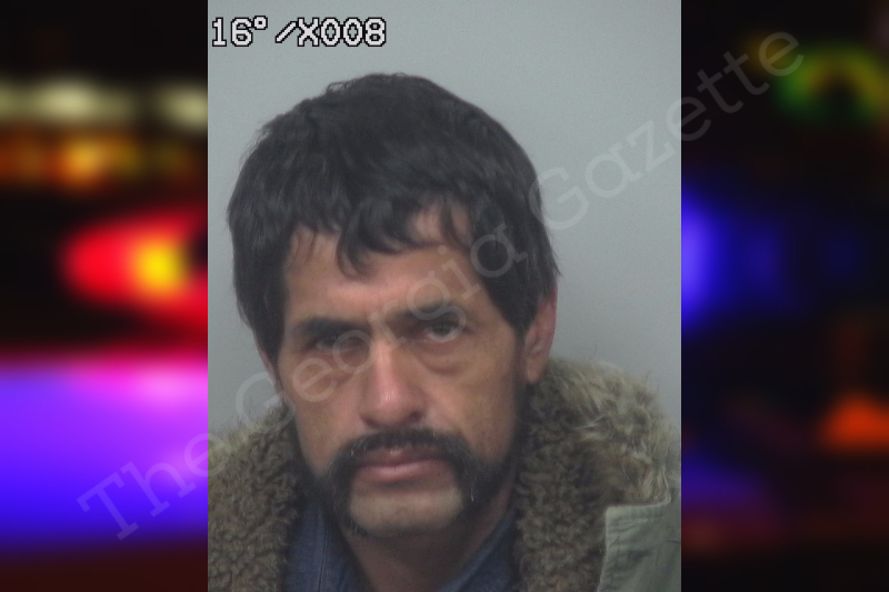 Jaime Ramos Castillo | Gwinnett County