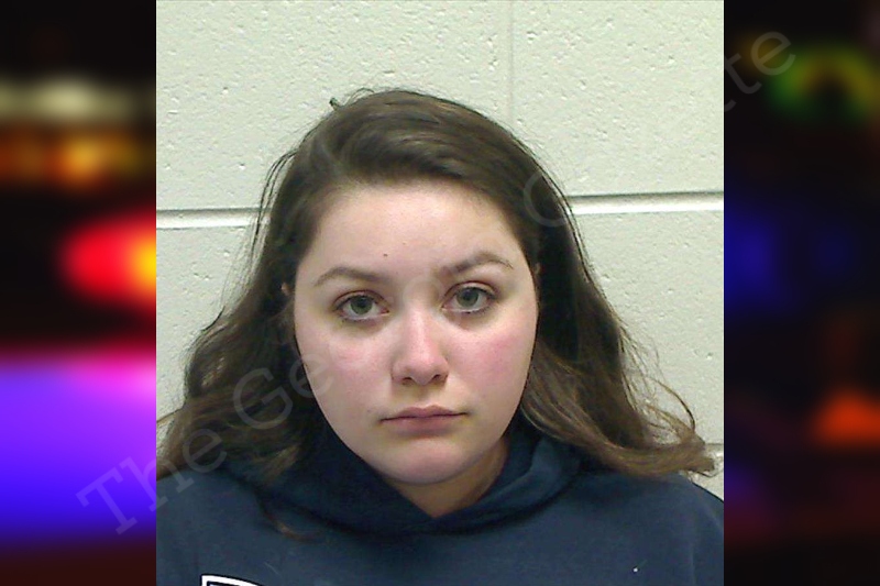 Ariana Ramsey — Bulloch County Jail Bookings