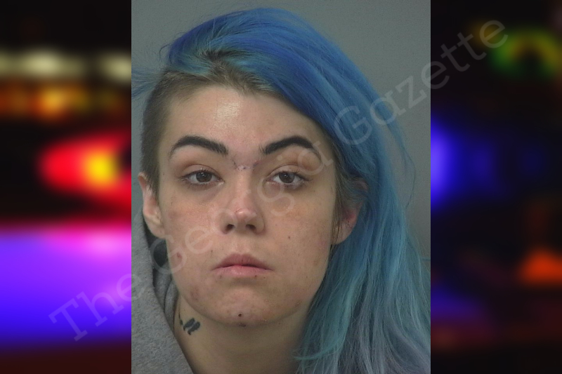 Laura Raney | Gwinnett County