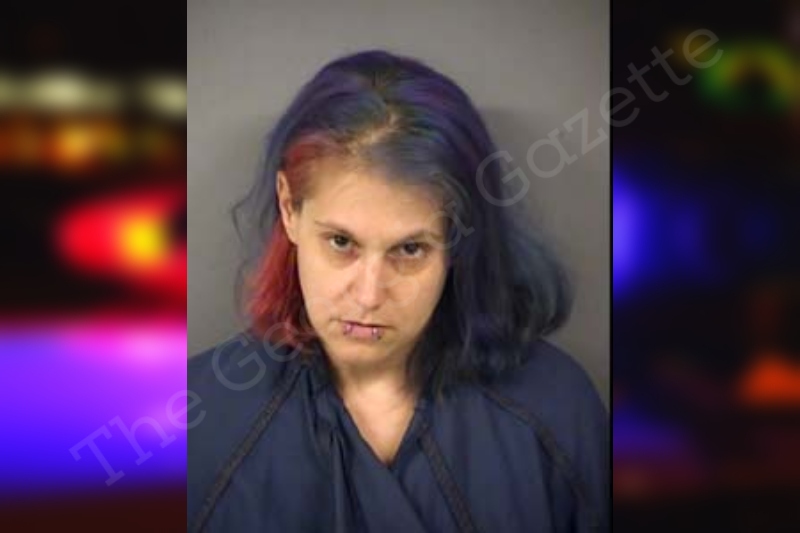 Jennifer Rankin — Lowndes County Jail Bookings