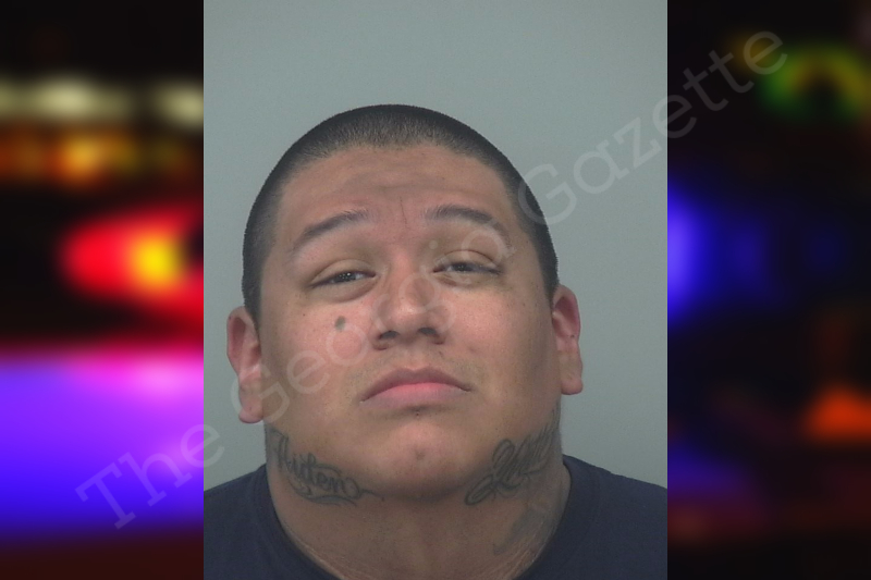 Daniel Sanchez — Gwinnett County Jail Bookings