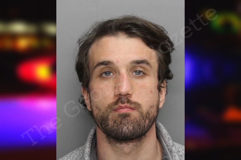 Bradford Skidd — Cobb County Jail Bookings