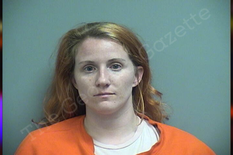 Sarah Shaner — Effingham County Jail Bookings