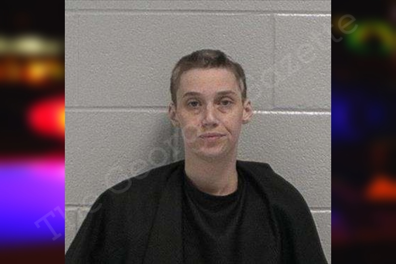 Tabitha Tilley — Carroll County Jail Bookings