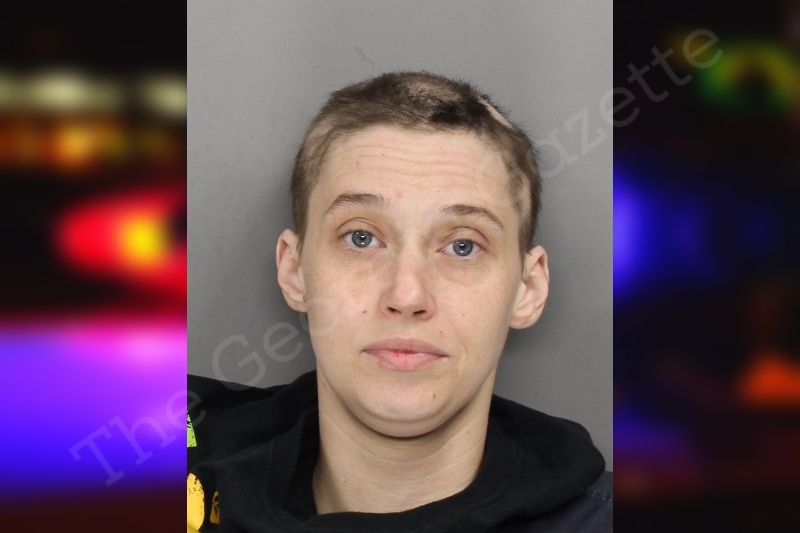 Tabitha Tilley — Cobb County Jail Bookings