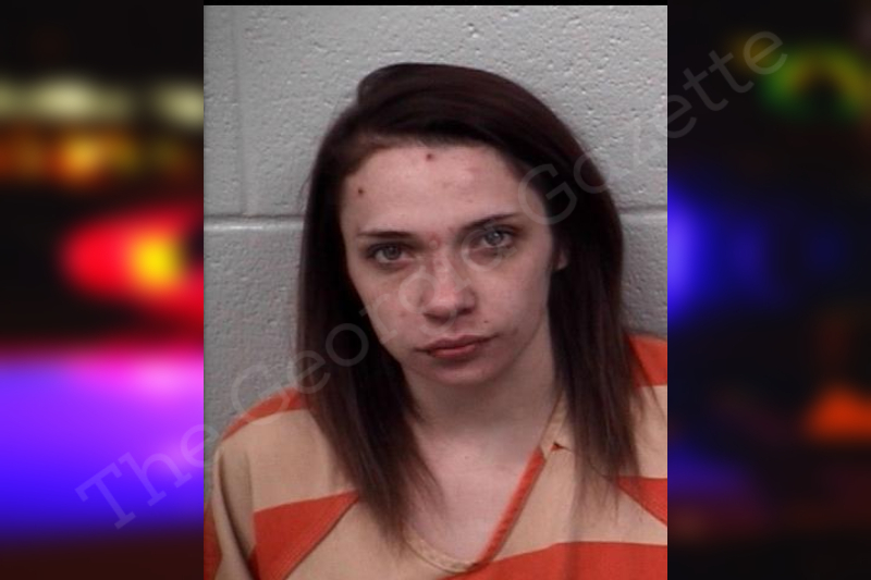 Kayley Walker — Paulding County Jail Bookings