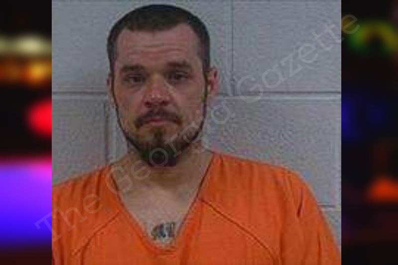 Bryan Wiggins — Polk County Jail Bookings