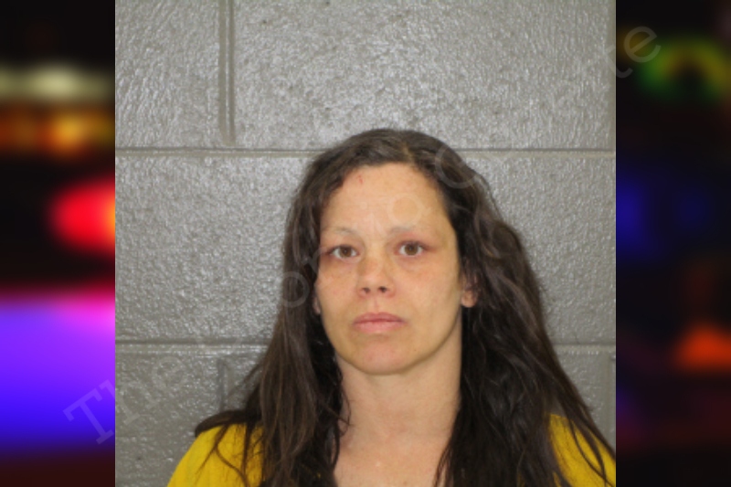 Sonya West — Banks County Jail Bookings