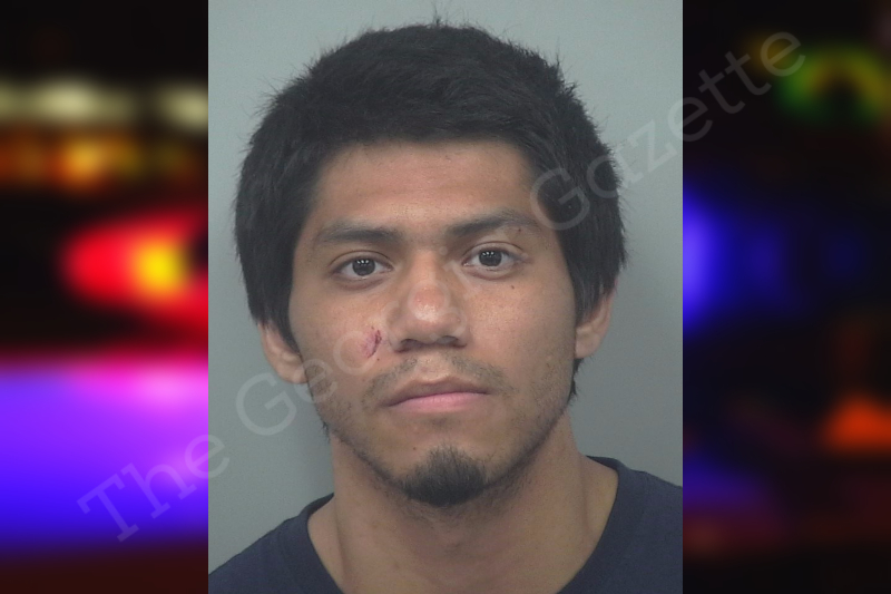 Randy Zalvaleta-Villegas — Gwinnett County