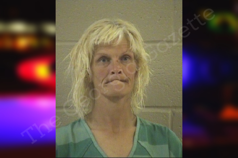 Allison Mitchell | Whitfield County