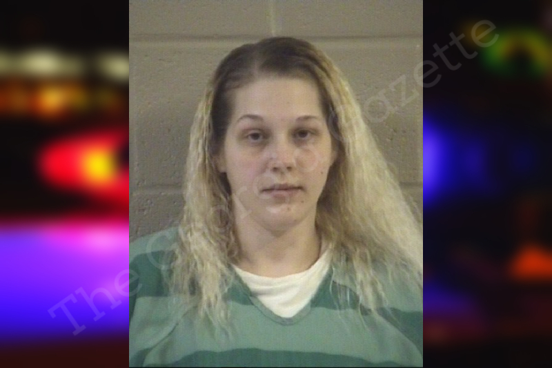 Amber Hamilton — Whitfield County Jail Bookings