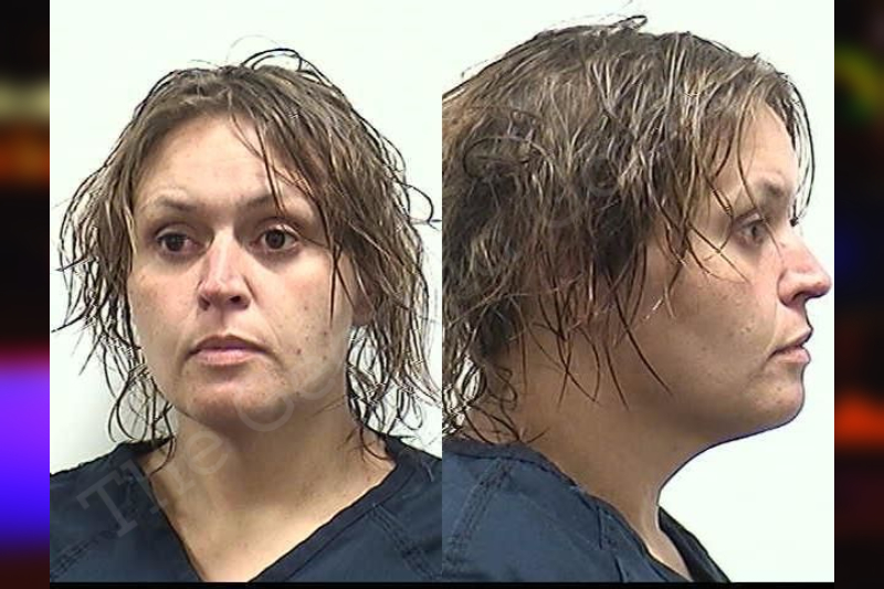 Tracey Brenning — Clarke County Jail Bookings