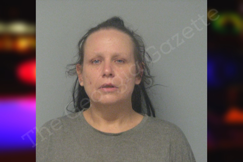 Elizabeth Carruth — Hall County Jail Bookings
