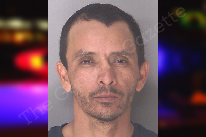 Daniel Castillo — Douglas County Jail Bookings