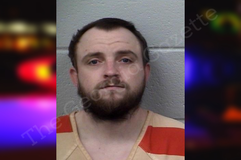 Ian Copeland — Paulding County Jail Bookings