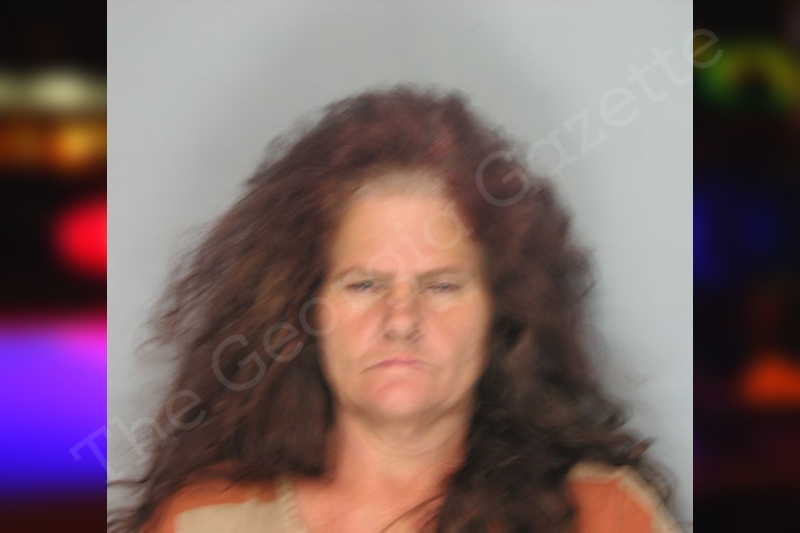 Rebecca Davis — Hall County Jail Bookings