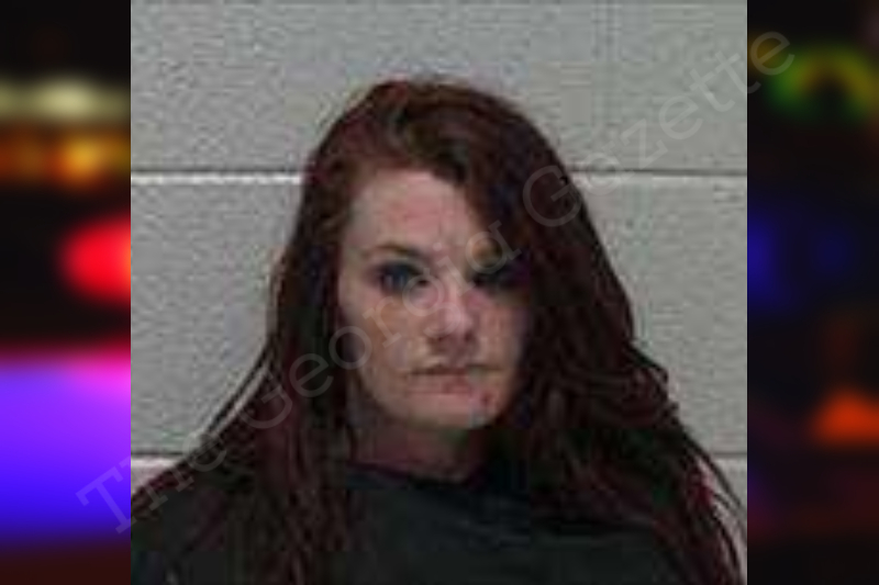 Shannon Edwards's Instagram, Twitter & Facebook on IDCrawl