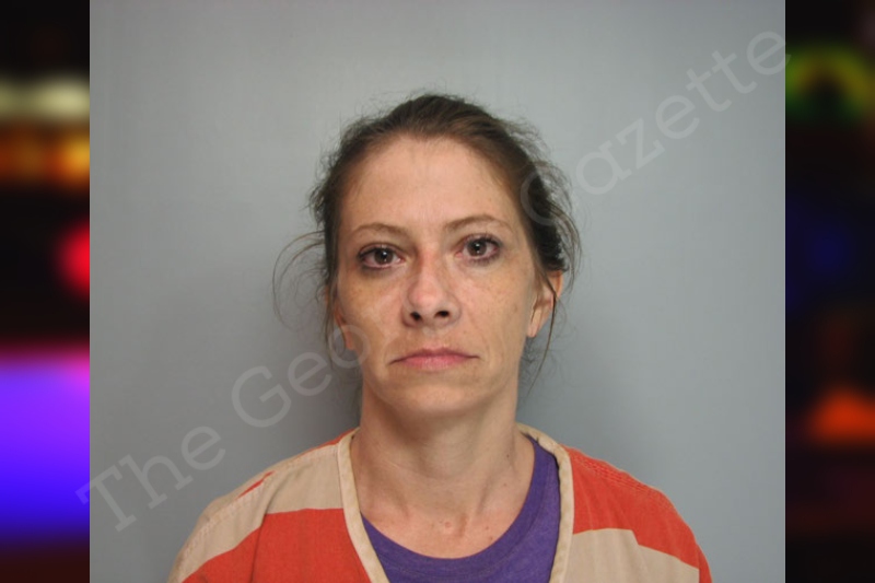 Brandi Freeman — Hall County Jail Bookings
