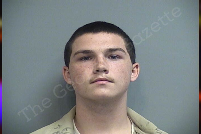 Nicholas Fordham — Effingham County Jail Bookings