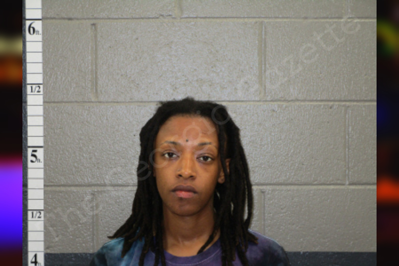 Tyra Scott — Banks County Jail Bookings