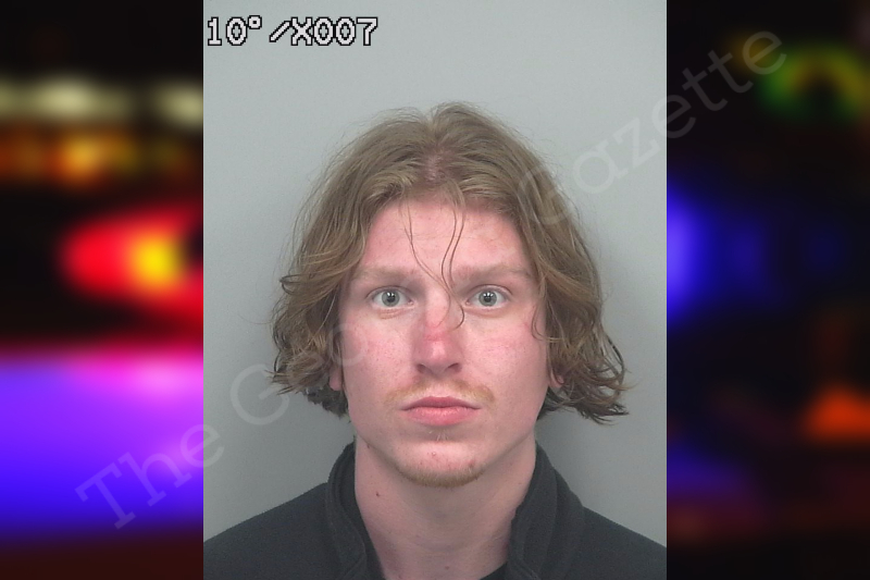 Alexander Gallo — Gwinnett County Jail Bookings